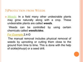 Crop procuction and management | PPTX