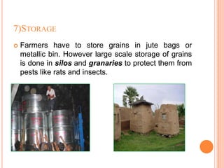 Crop procuction and management | PPTX