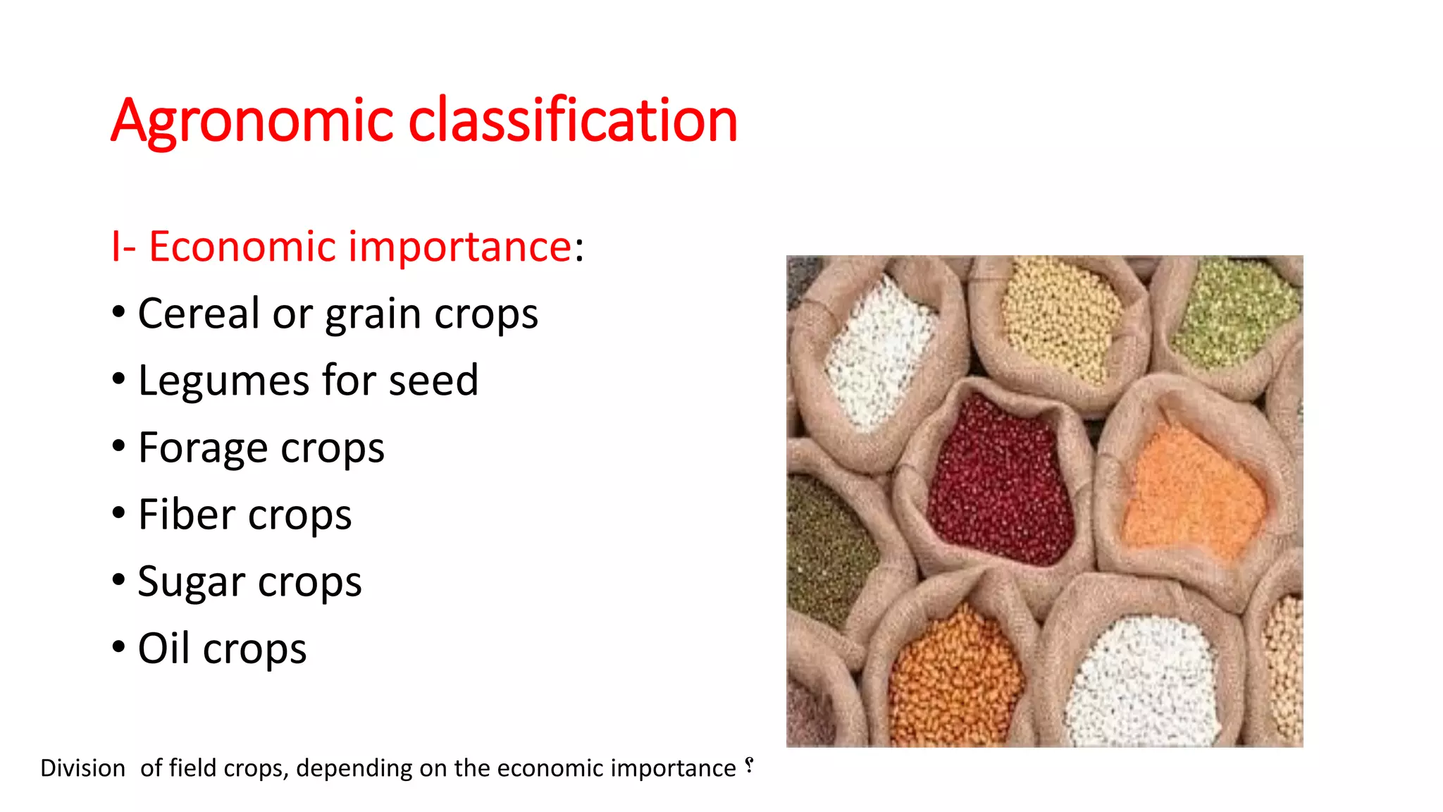 Crop production 1 | PDF