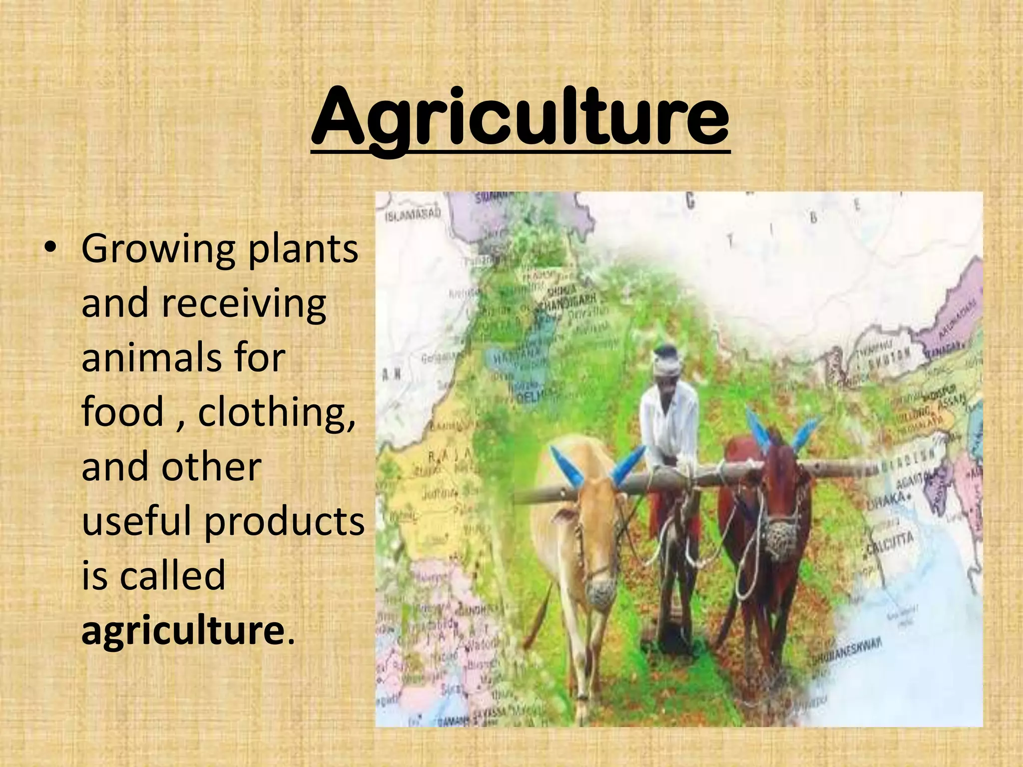 CROP PRODUCTION AND MANAGEMENT | PPTX
