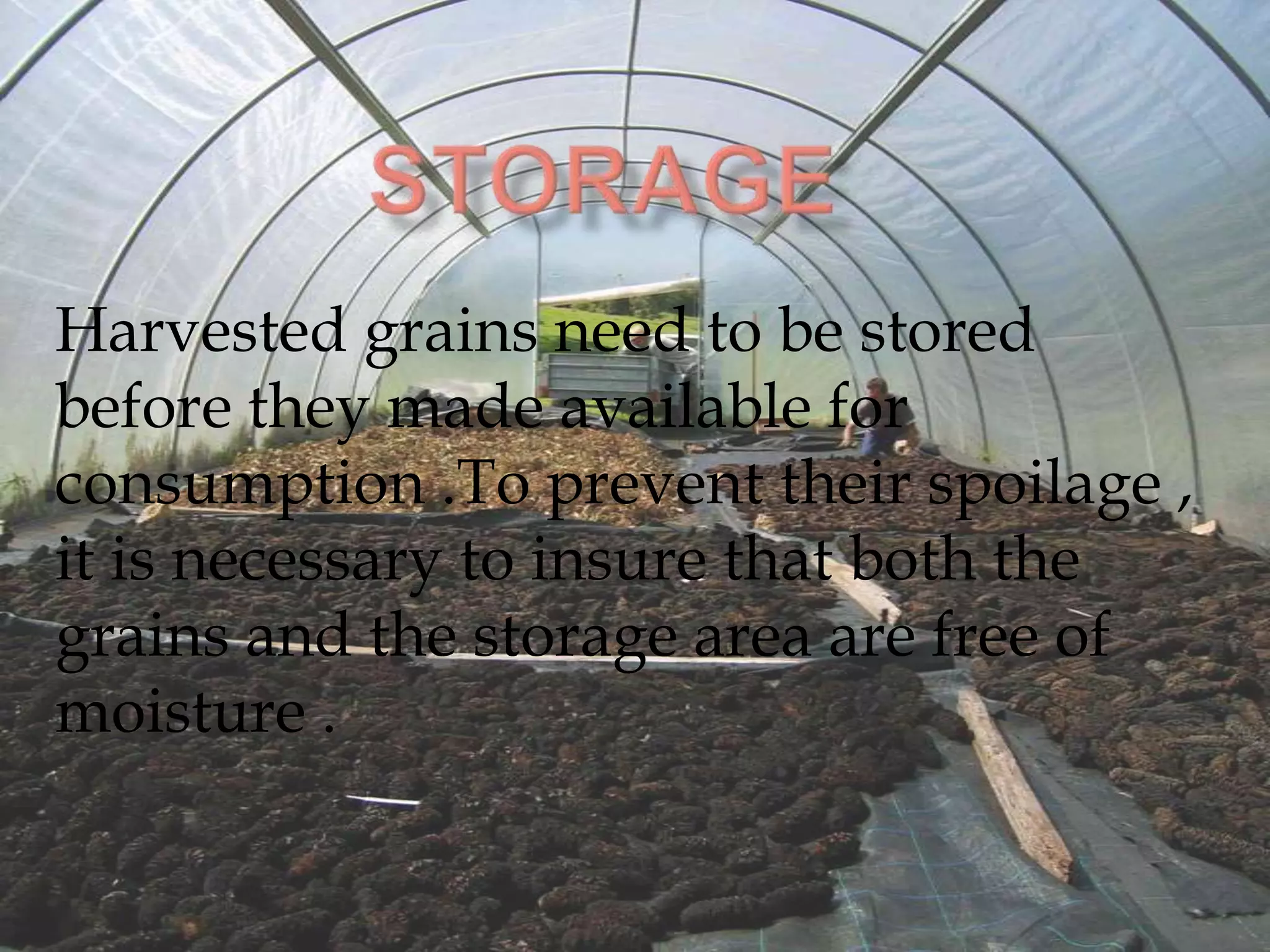 CROP PRODUCTION AND MANAGEMENT | PPTX
