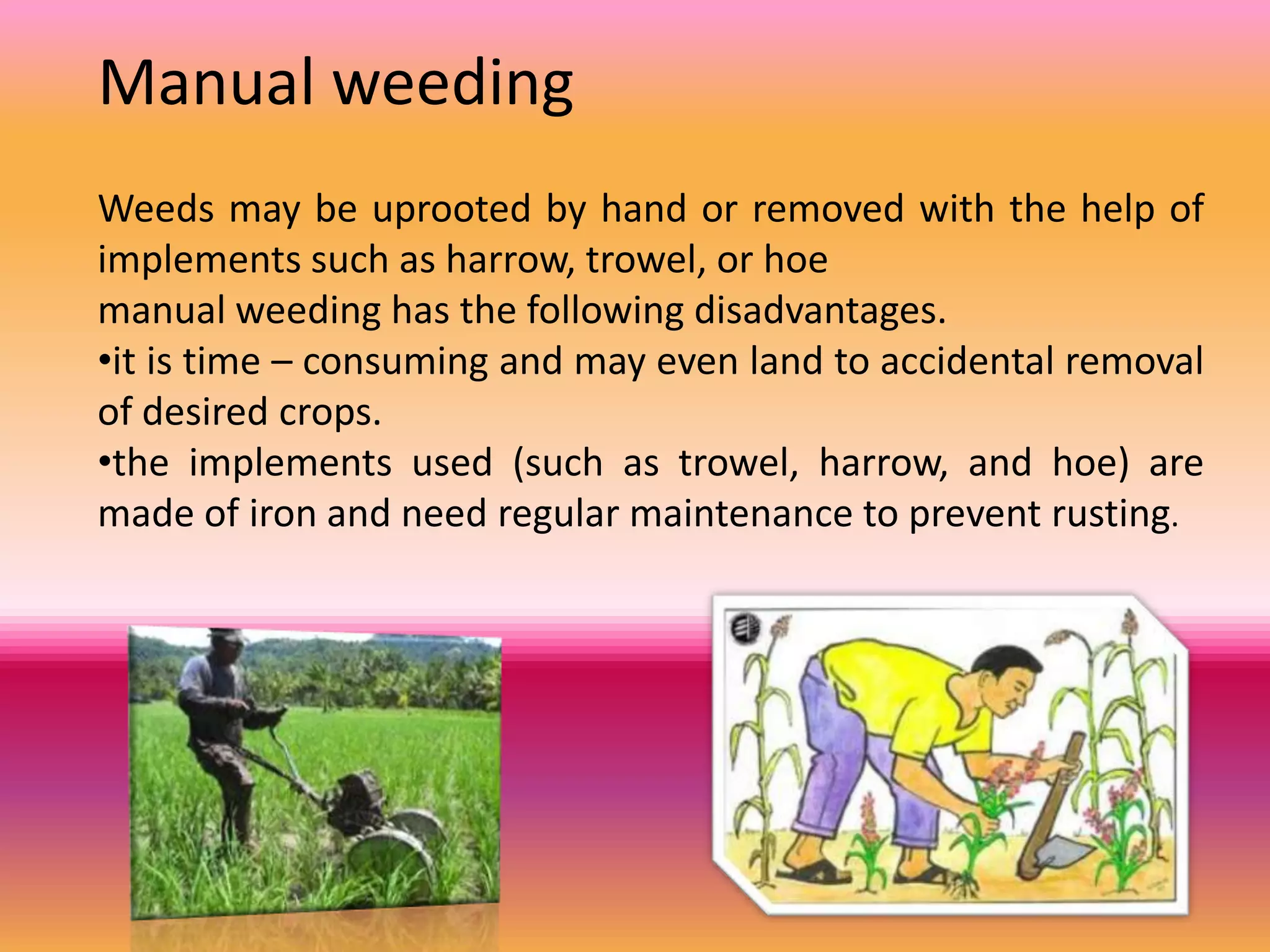 CROP PRODUCTION AND MANAGEMENT | PPTX