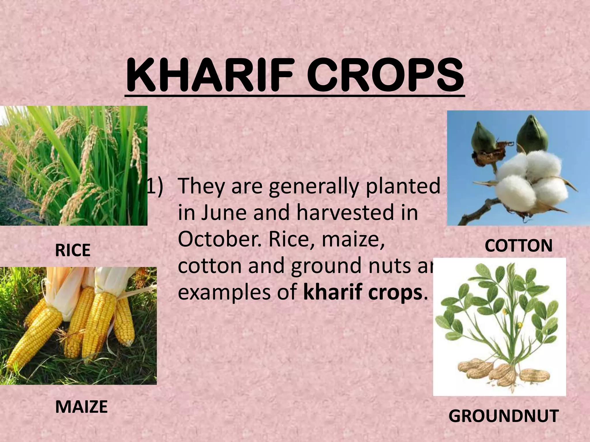 CROP PRODUCTION AND MANAGEMENT | PPTX