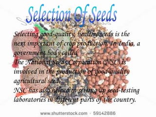 CROP PRODUCTION AND MANAGEMENT | PPTX