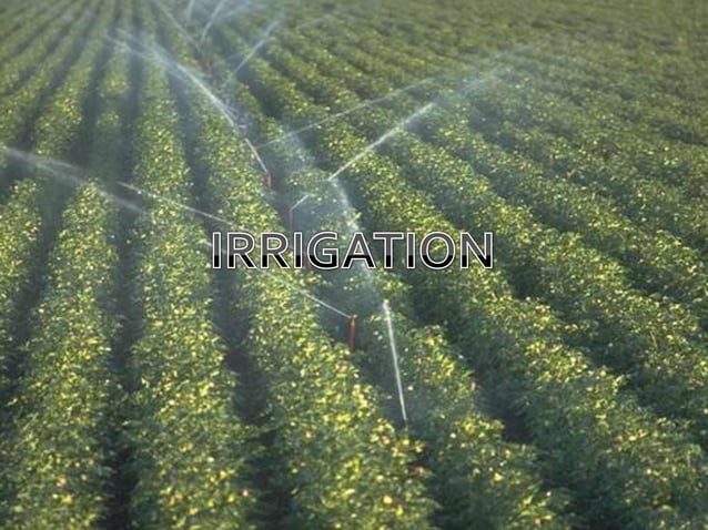 CROP PRODUCTION AND MANAGEMENT | PPTX | Agriculture | Industries