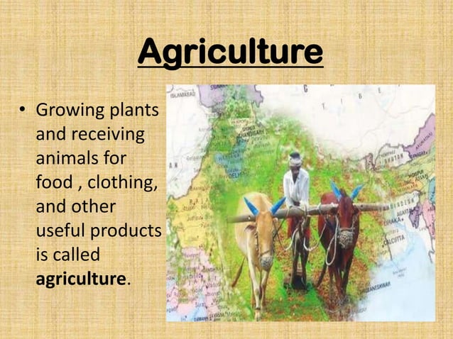 CROP PRODUCTION AND MANAGEMENT | PPTX | Agriculture | Industries