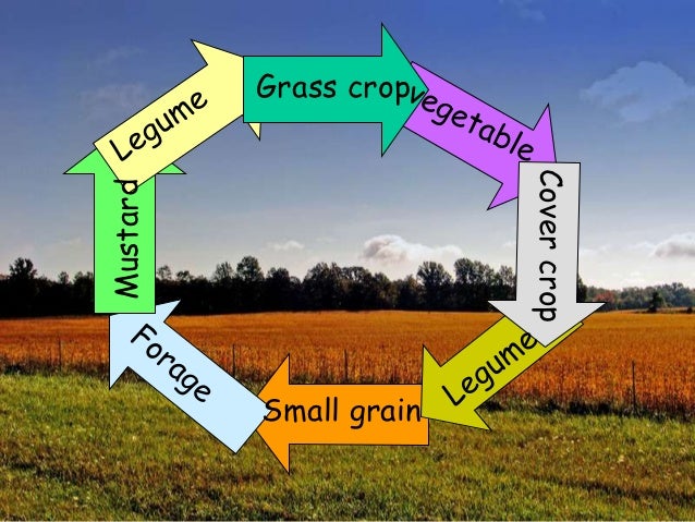 CROP PRODUCTION AND MANAGEMENT