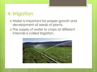 Crop Production & Management | PPTX