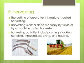 Crop Production & Management | PPTX