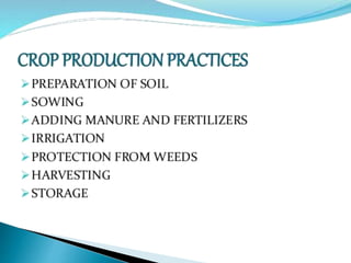 Crop production ppt | PPTX