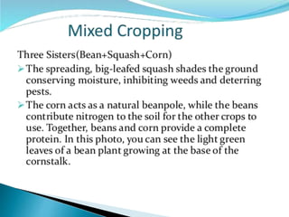 Crop production ppt | PPTX | Agriculture | Industries