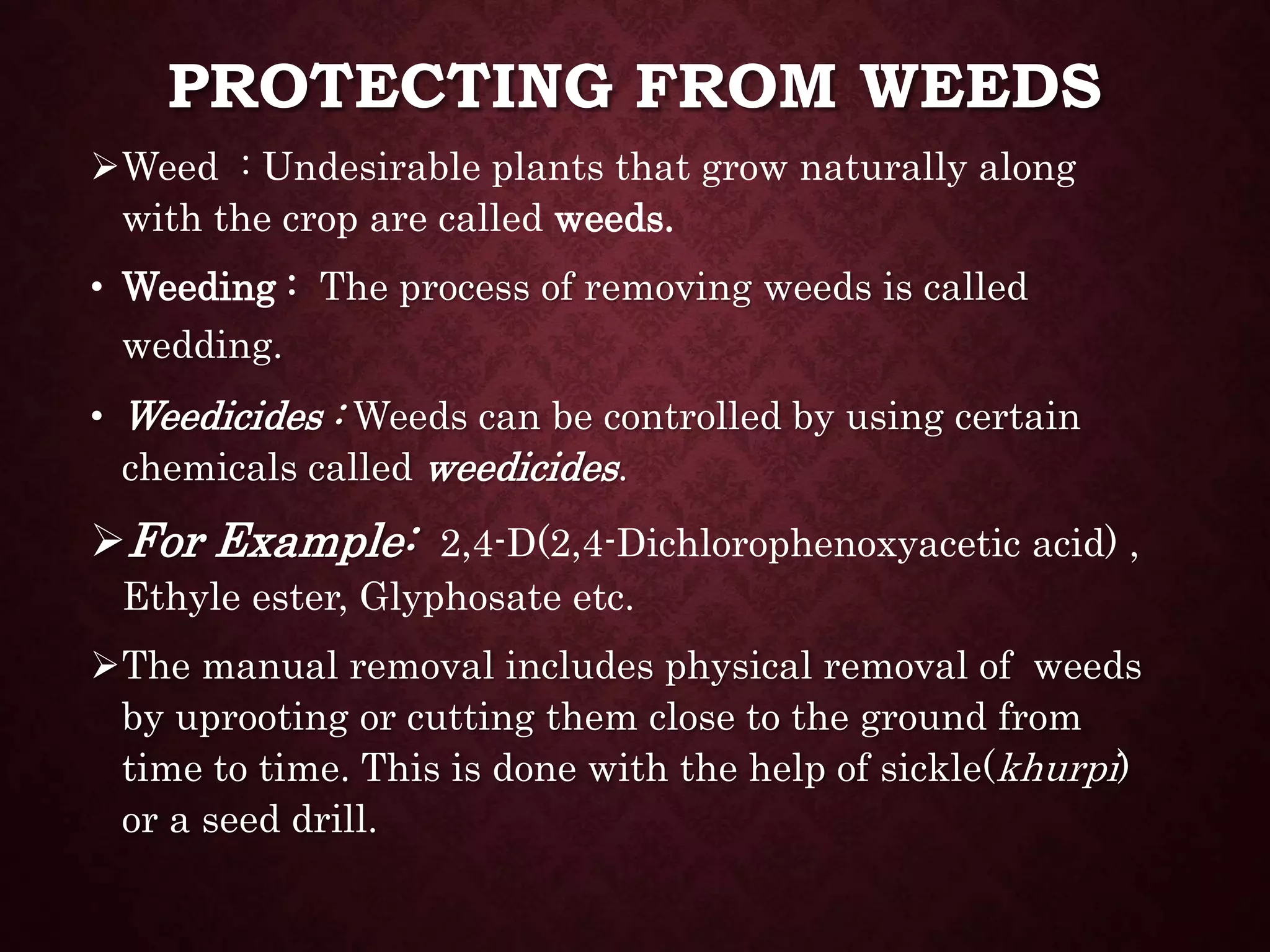 Crop production and management -CLASS-8 ,NCERT | PPTX