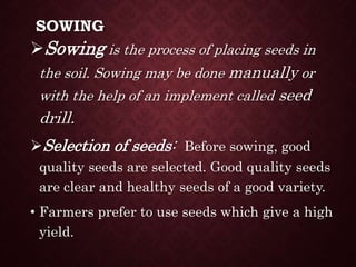 Crop production and management -CLASS-8 ,NCERT | PPTX