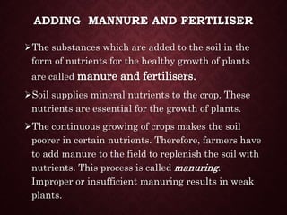 Crop production and management -CLASS-8 ,NCERT | PPTX
