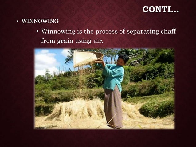 Crop production and management -CLASS-8 ,NCERT | PPTX