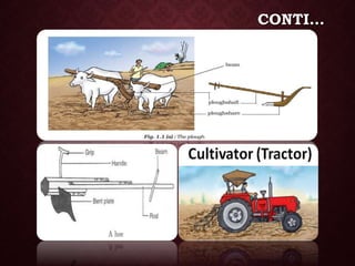 Crop production and management -CLASS-8 ,NCERT | PPTX