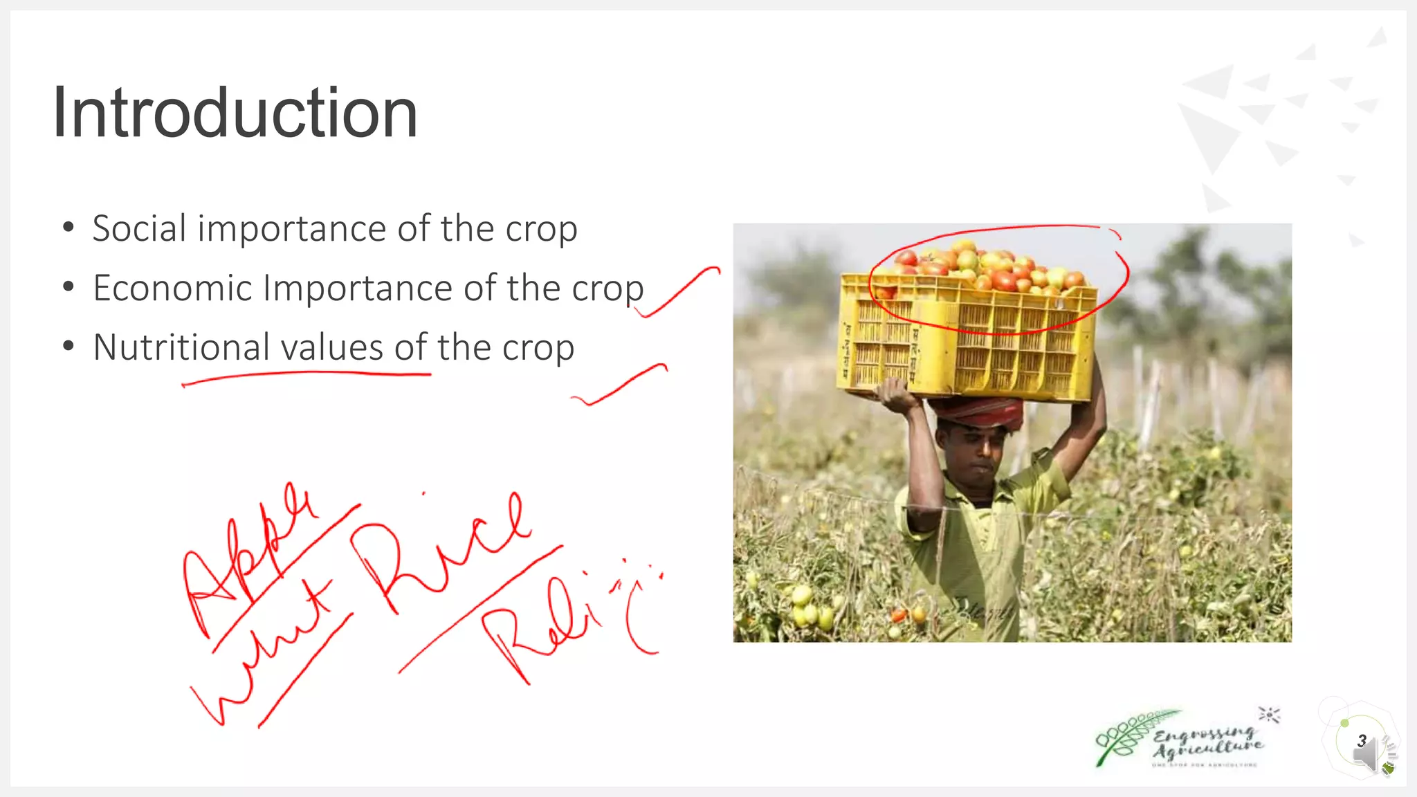 Crop production (the headings to be covered) | PPTX