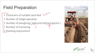 Crop production (the headings to be covered) | PPTX