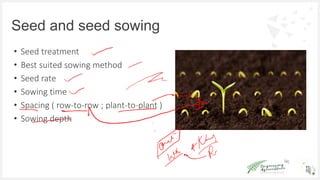 Crop production (the headings to be covered) | PPTX