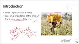 Crop production (the headings to be covered) | PPTX