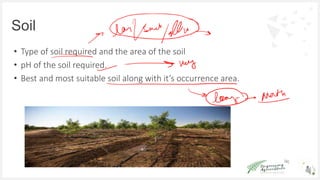 Crop production (the headings to be covered) | PPTX