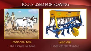 Crop Production and Management | PPTX