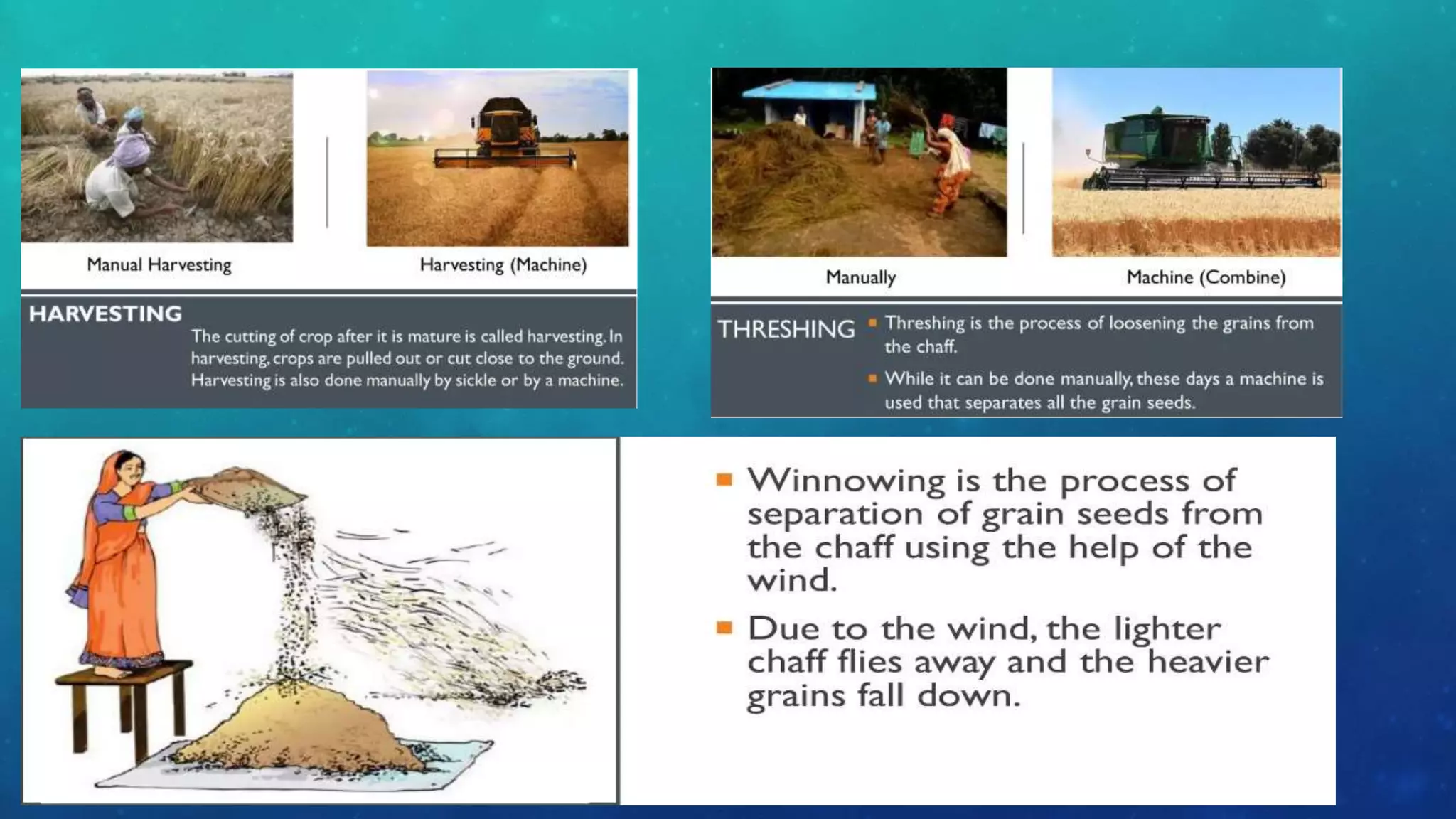 crop production.pptx