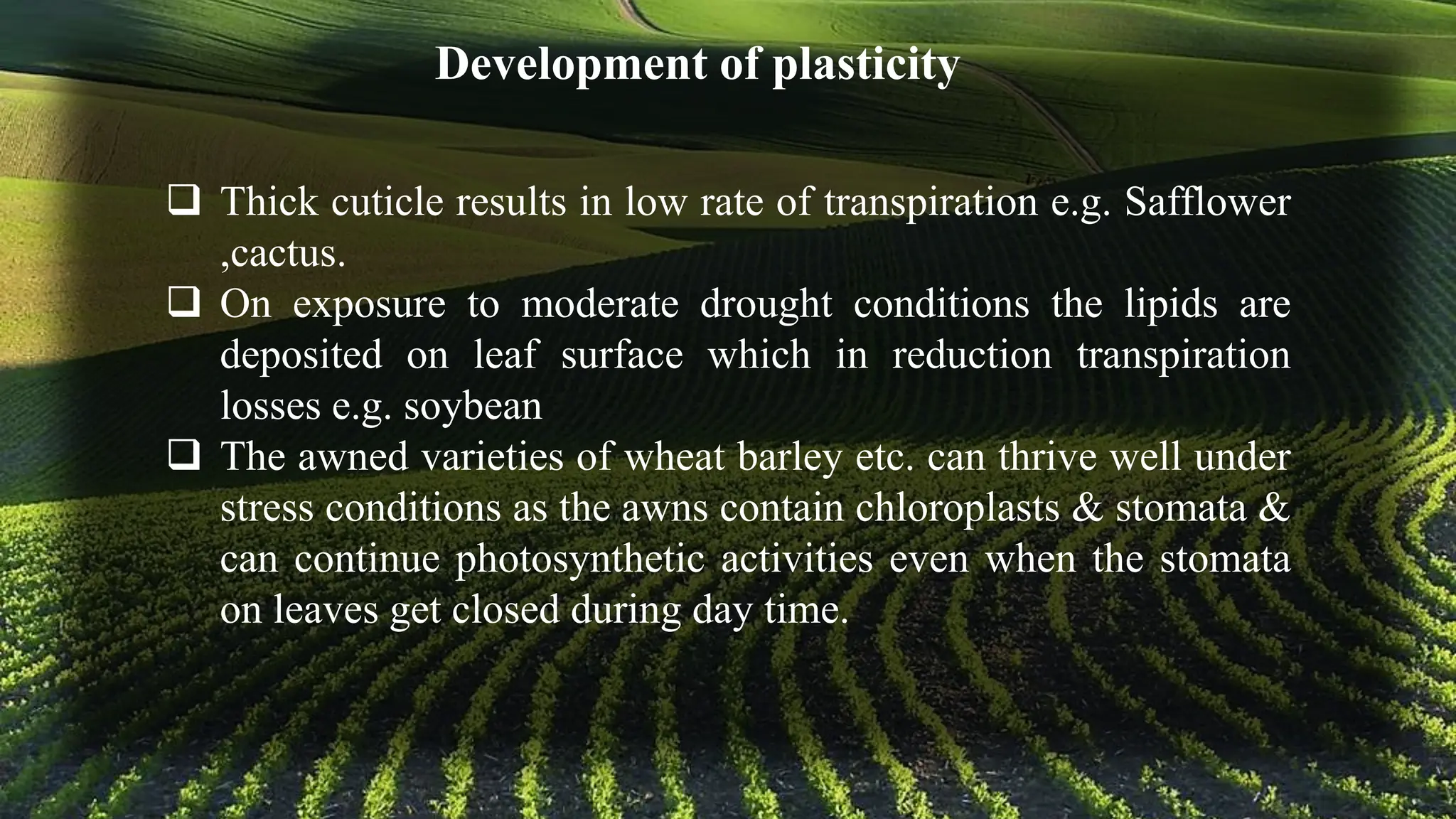 Crop production for dryland crops and their suitability .pptx