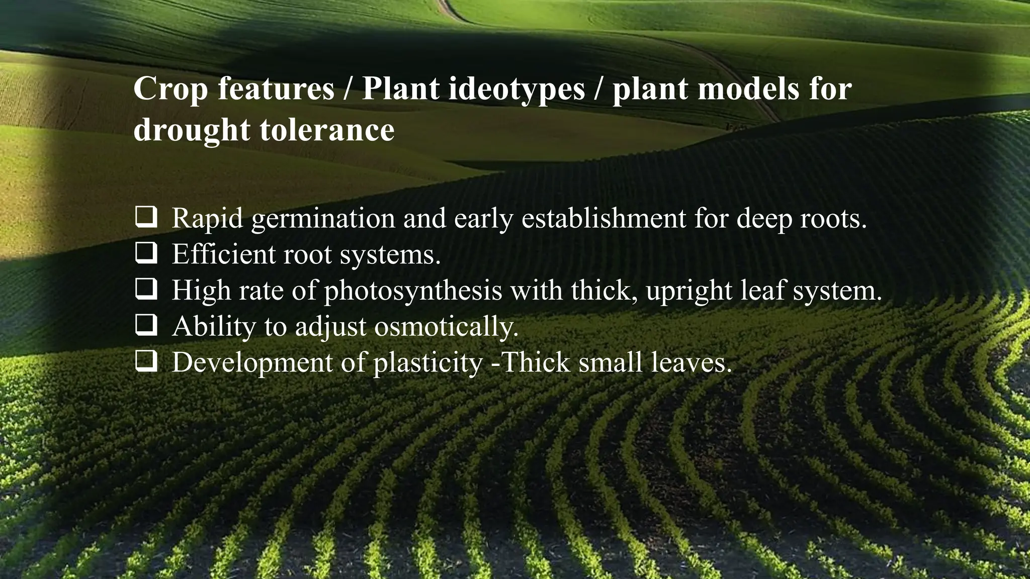 Crop production for dryland crops and their suitability .pptx