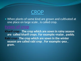 Crop production and management (how crop is produced and reserved) | PPTX