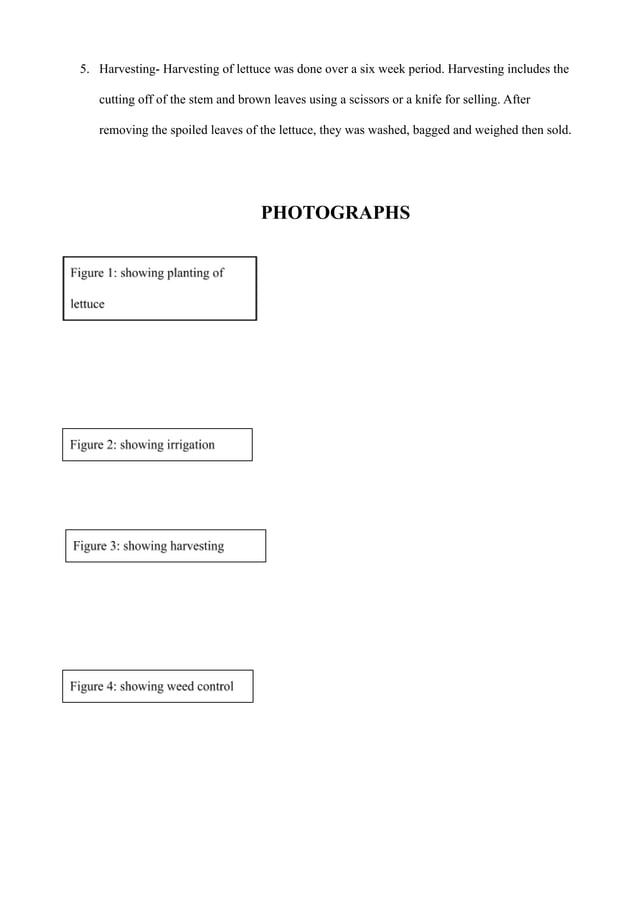 Shanella Moore Crop Production SBA 2022.pdf | Agriculture | Industries