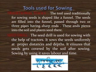 Crop Production and Management | PPTX