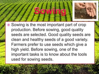 Crop production and management | PPTX