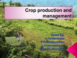 Crop production and management | PPTX