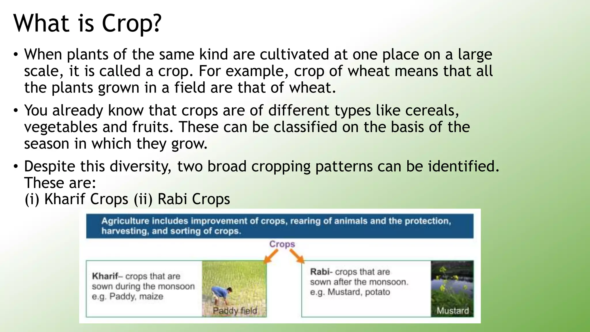 Crop production and management | PPTX