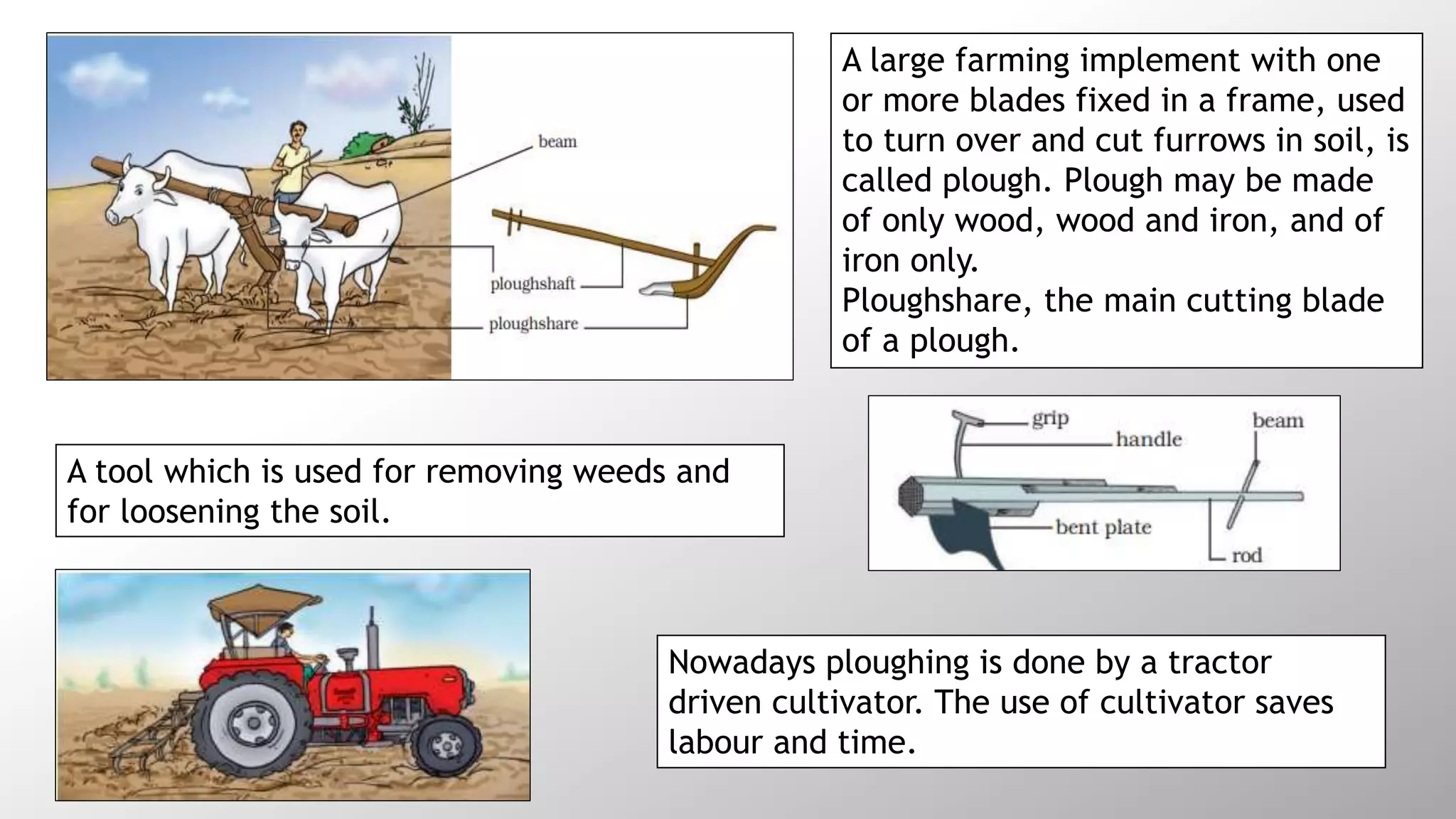 Crop production and management | PPTX