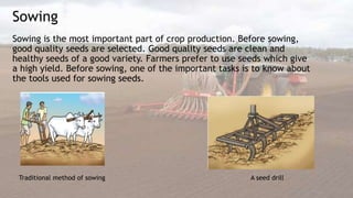 Crop production and management | PPTX