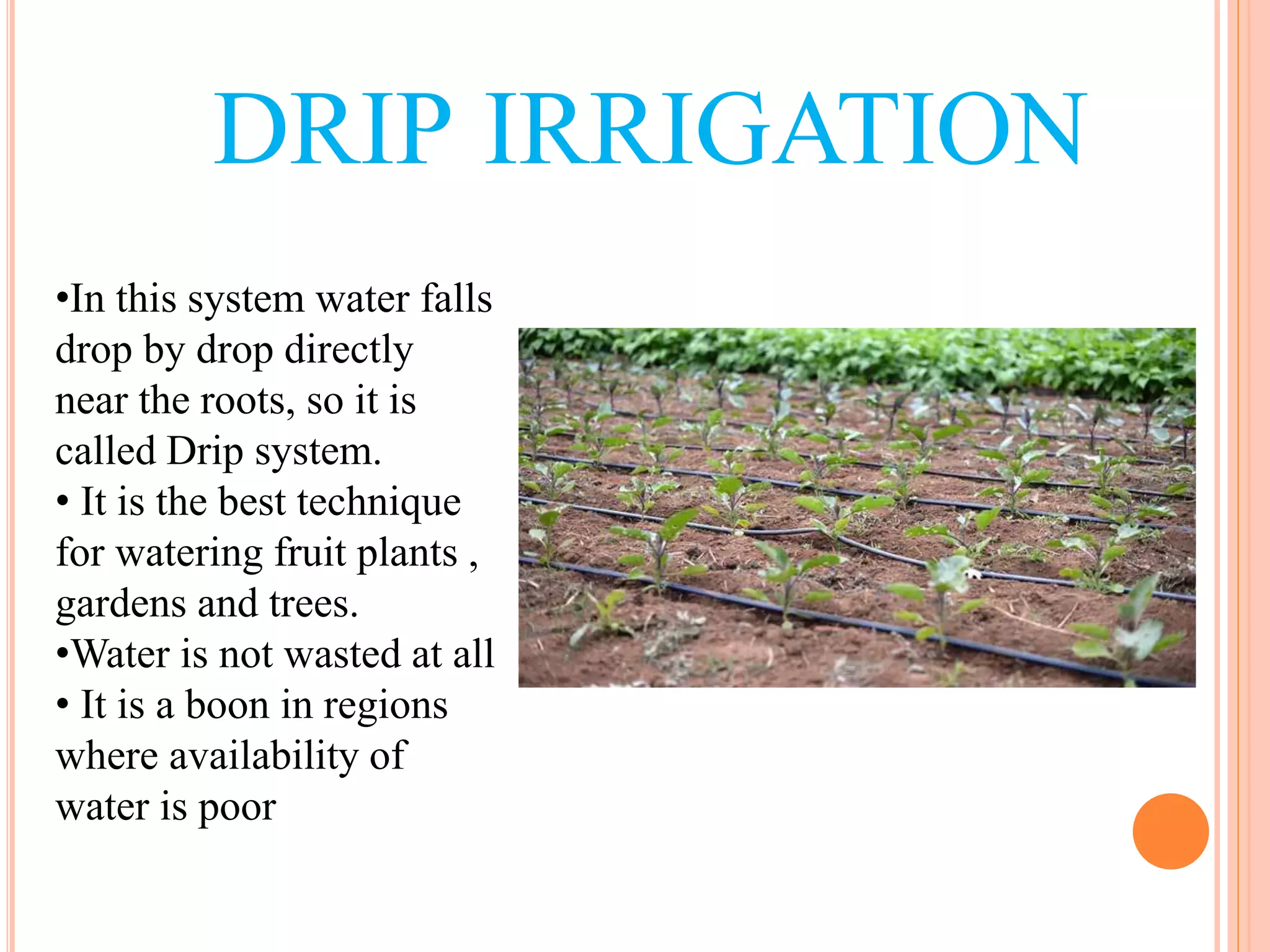 Crop production and management | PPT