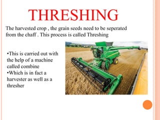 Crop production and management | PPT