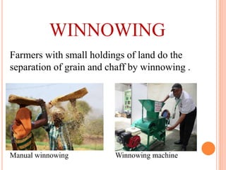 Crop production and management | PPT