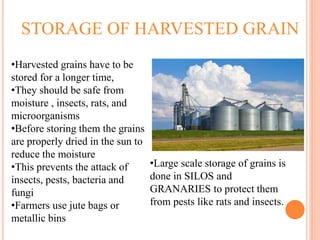 Crop production and management | PPT