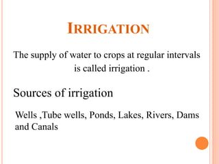 Crop production and management | PPT