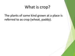 Crop production and management | PPTX