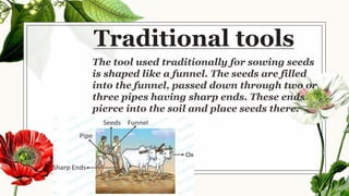 crop production and management.pptx