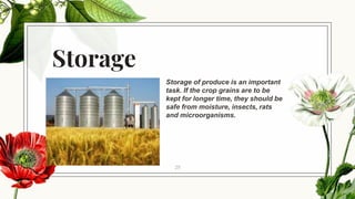 crop production and management.pptx