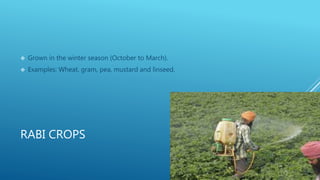 Crop production and management.pptx