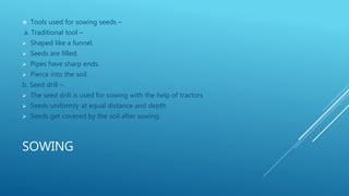 Crop production and management.pptx