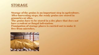 Crop Production And Management | Class- 8 | PPT | PDF