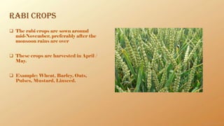 Crop Production And Management | Class- 8 | PPT | PDF