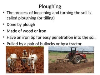 Crop Production and Management part 1.ppt